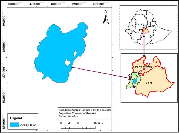 Assessment of pesticide residues in fish and associated human health ...
