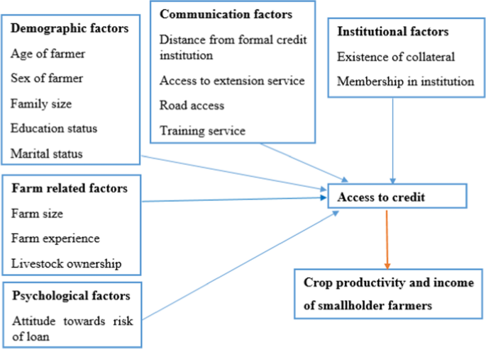 Impact of credit use on crop productivity and gross income of ...