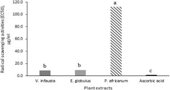 Phytochemical content, antibacterial, antioxidant and cytotoxic ...