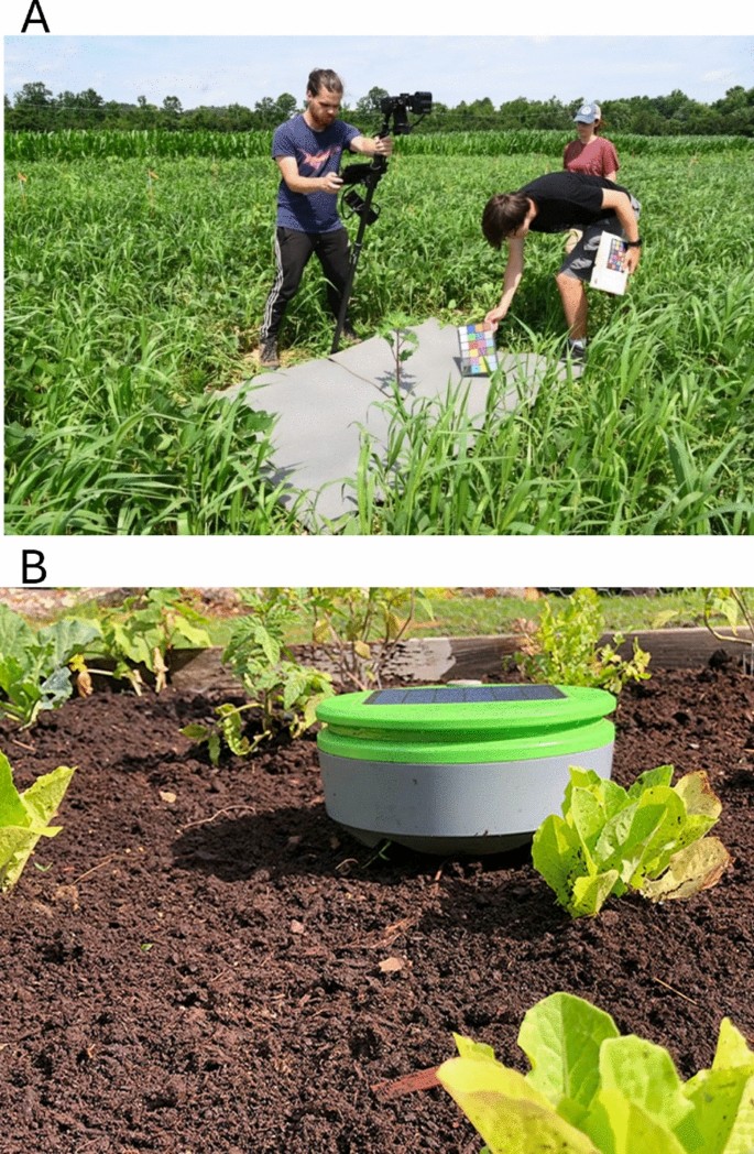 Applications of AI in precision agriculture | Discover Agriculture