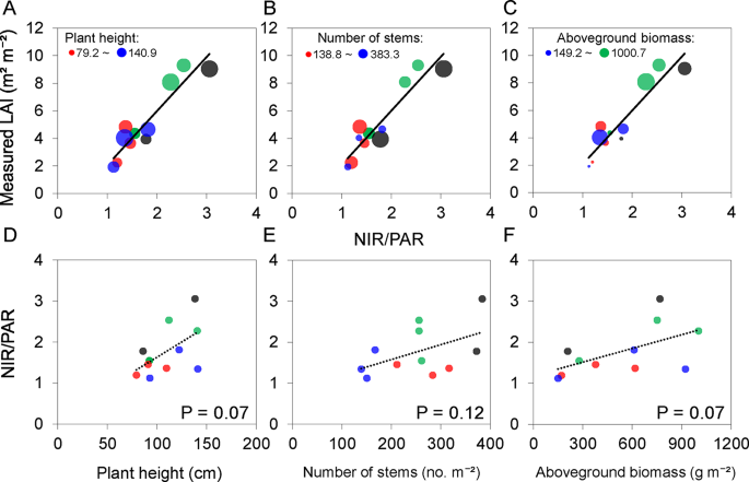 Non-destructive estimation of rice canopy LAI using NIR/PAR: application to four rice cultivars ...