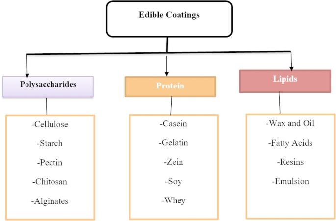 A comprehensive review of edible coatings for postharvest management of ...