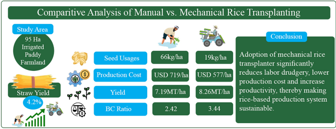 Productivity and basic economics in spring paddy production by ...