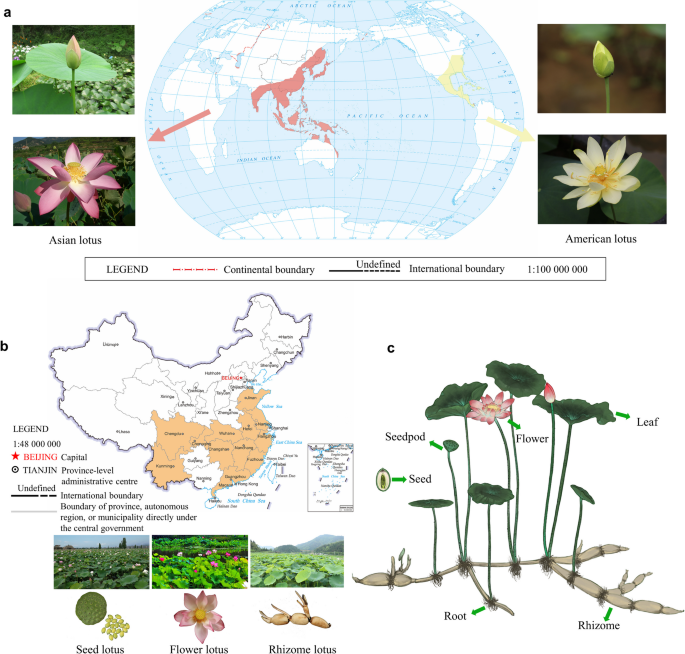 Harnessing genomic and molecular biology resources for genetic ...