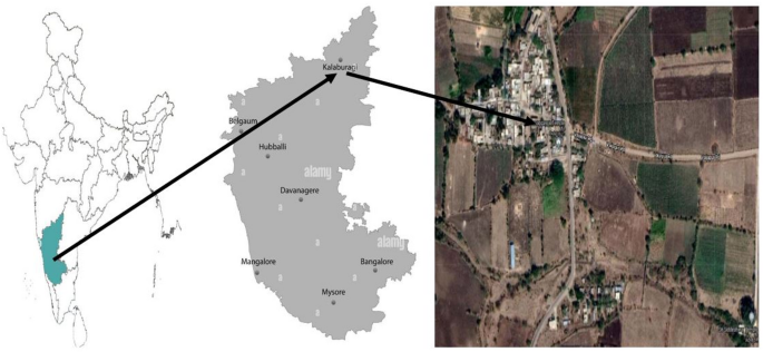 Impact of community education interventions on adopting sustainable ...