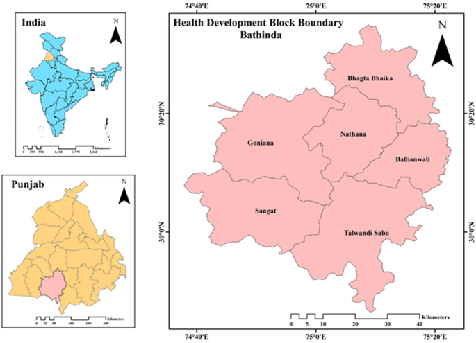 Geospatial investigation of healthcare infrastructure disparities in Bathinda district of Punjab ...