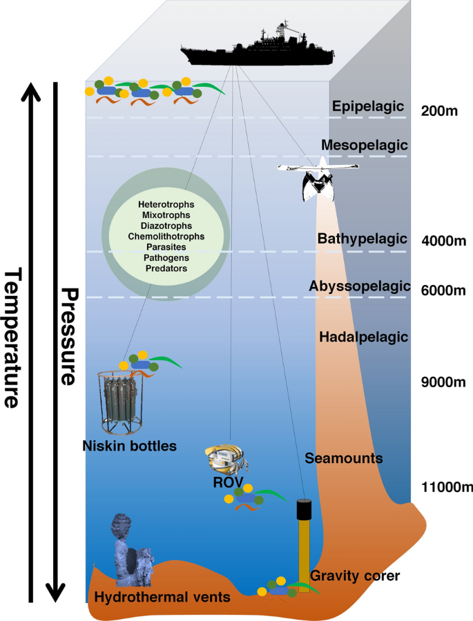Exploring the abyss through recent advances in microbial profiling ...