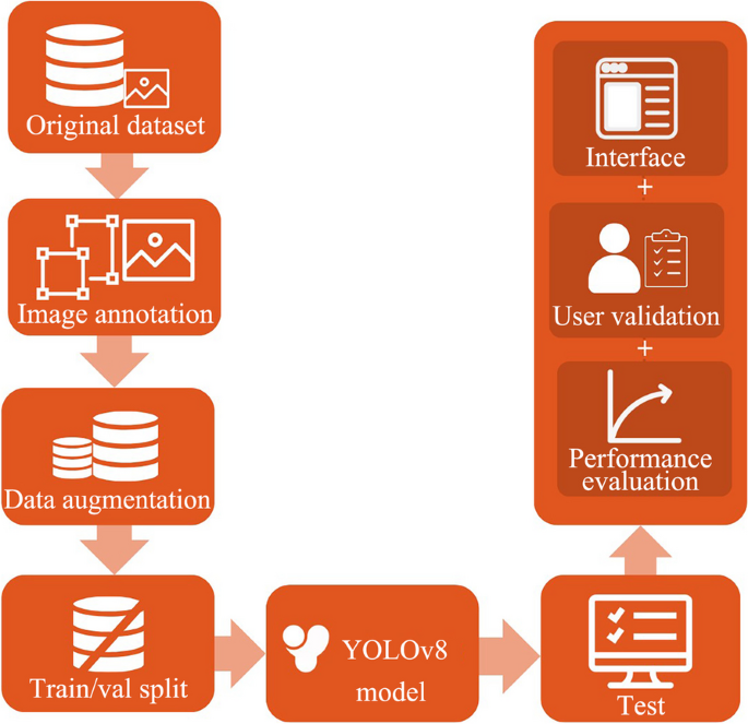 Early detection of marine bioinvasion by sun corals using YOLOv8 ...