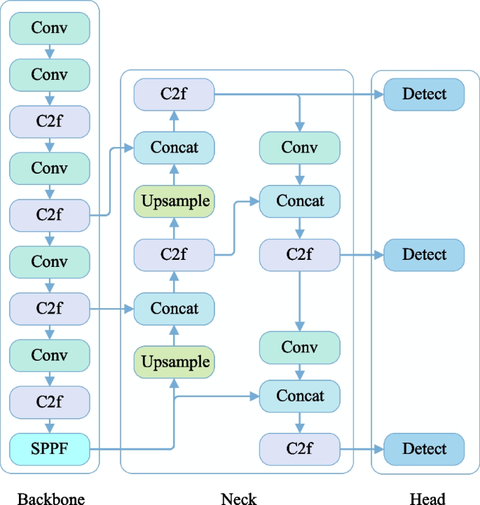 DLFE-YOLO: an enhanced framework for underwater object detection based ...