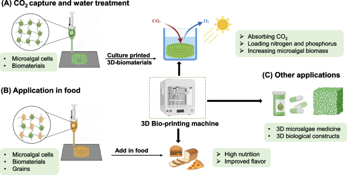 Unlocking 3D printing technology for microalgal production and application | Advanced Biotechnology