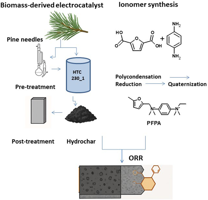 Sustainable electrodes based on biomass-derived catalysts and Ionomers ...