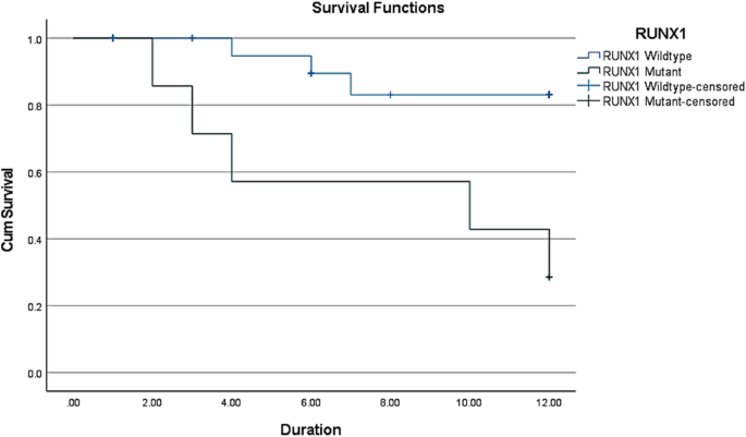 RUNX1 alterations and survival outcomes in AML: leukocyte dynamics and thrombocytosis insights ...