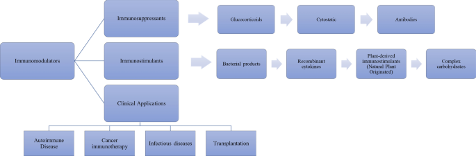 The potential of immunomodulators in shaping the future of healthcare ...
