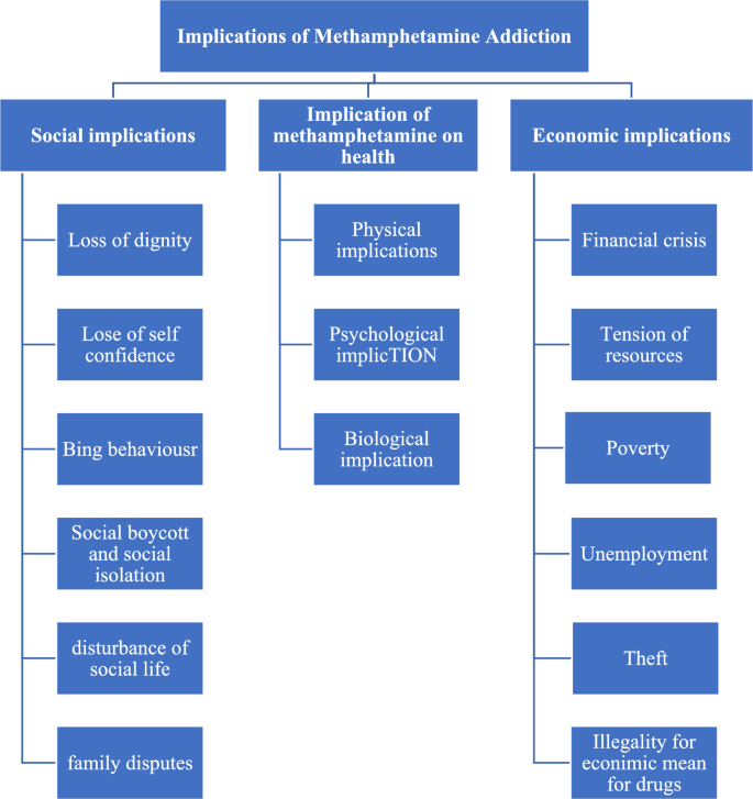 A qualitative study of methamphetamine addiction drivers and ...