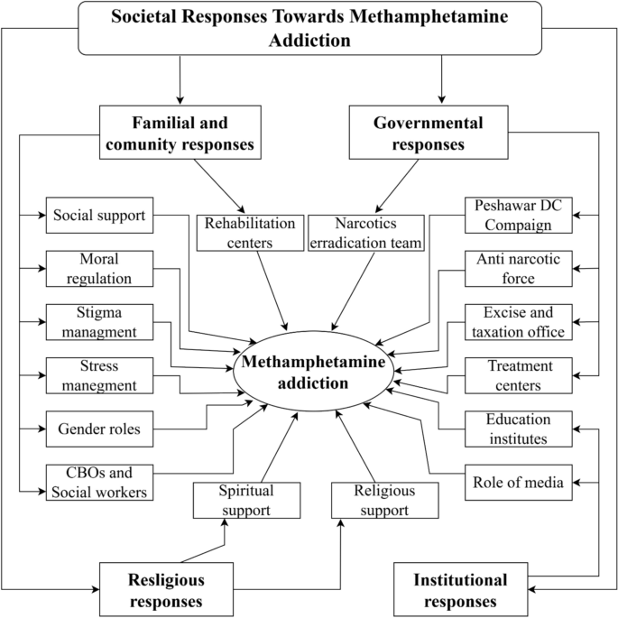 A qualitative study of methamphetamine addiction drivers and ...