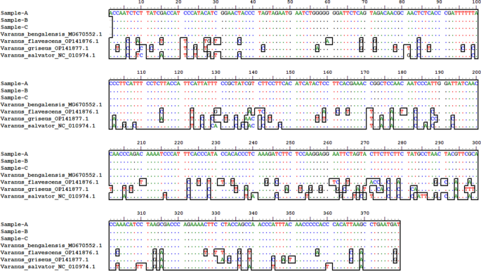 Molecular species identification from seized dried genital organs: a ...