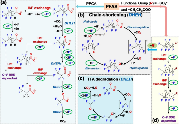 Catalytic and biological degradation of poly- and perfluoroalkyl ...