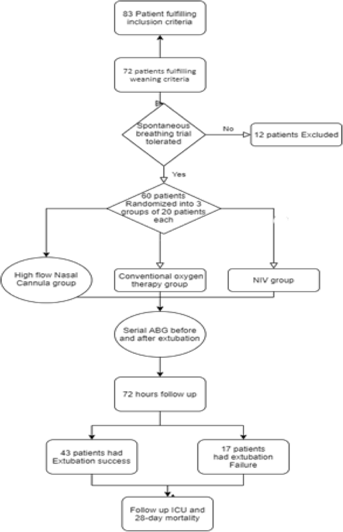 Different oxygenation modalities for early post-extubation: a single ...
