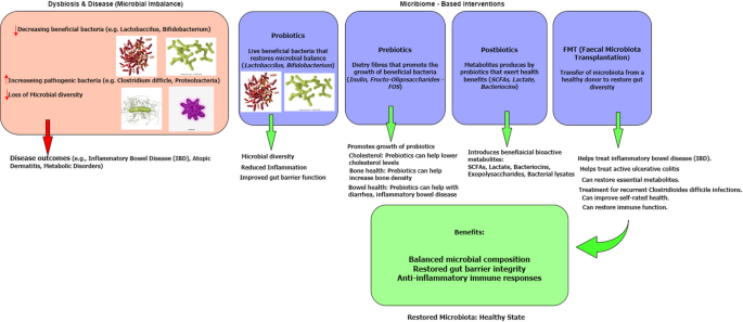 Host-microbe interactions at barrier tissues and immunomodulation: a ...