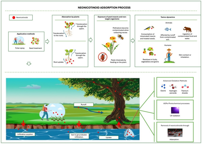 Recent advances in the removal of neonicotinoid insecticides: classical ...