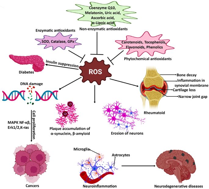 Reactive oxygen species (ROS): sources, generation, disease ...
