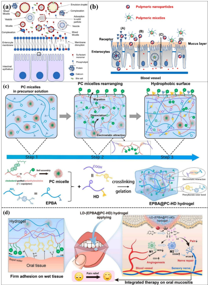 Micelles transforming modern medicine: a comprehensive review on the ...