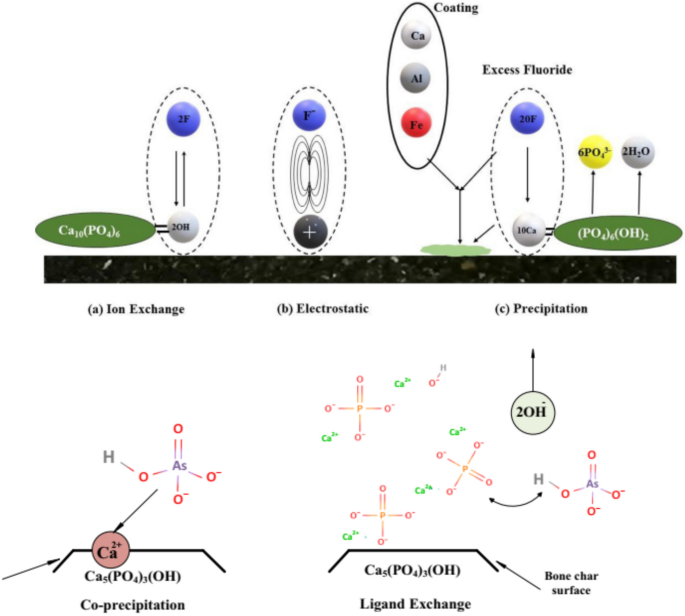 Application of bone chars for the removal of chemical contaminants from ...