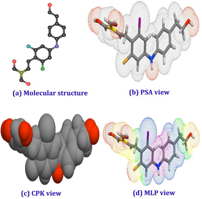 Molecular structure and bioactivity analysis of Ulva lactuca using ...