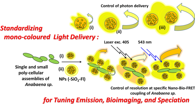 High bright mono-coloured light delivery by confined laser dyes within ...
