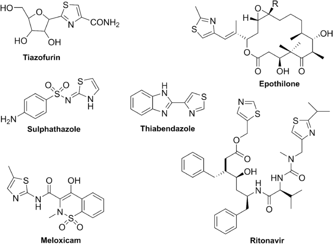 Molecular analysis of vibrational and structural characteristics in bi ...