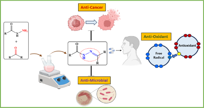 An overview on synthetic aspects and biological activity profiles of ...