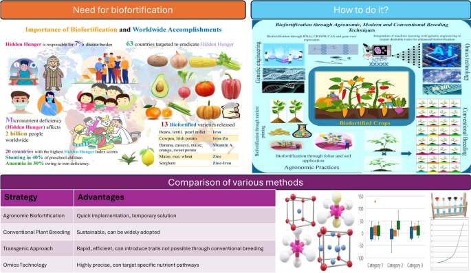 Biofortification strategies for enhancing crop nutritional value: a ...
