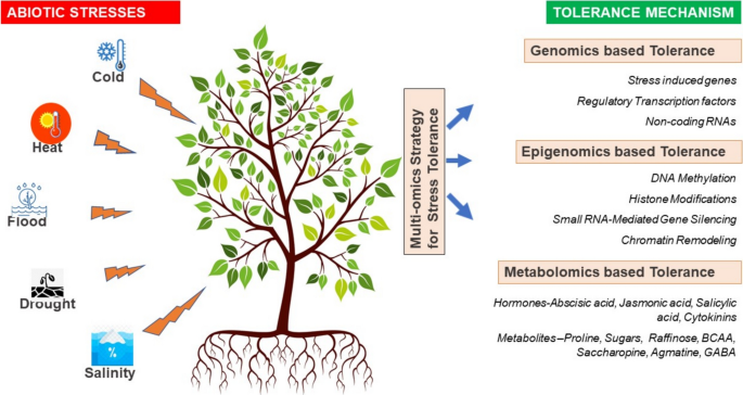 Integrative multi-omics approaches for crop abiotic stress tolerance ...