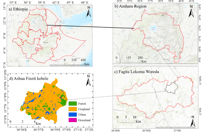 Effect of land use change and soil depth on physico-chemical soil ...