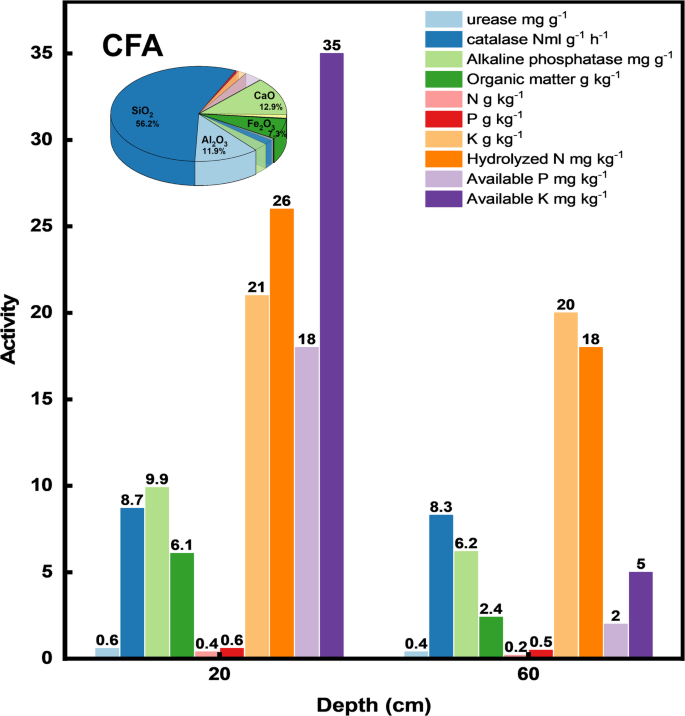 Mechanisms of functional reconstruction in saline-alkali soil and plant ...