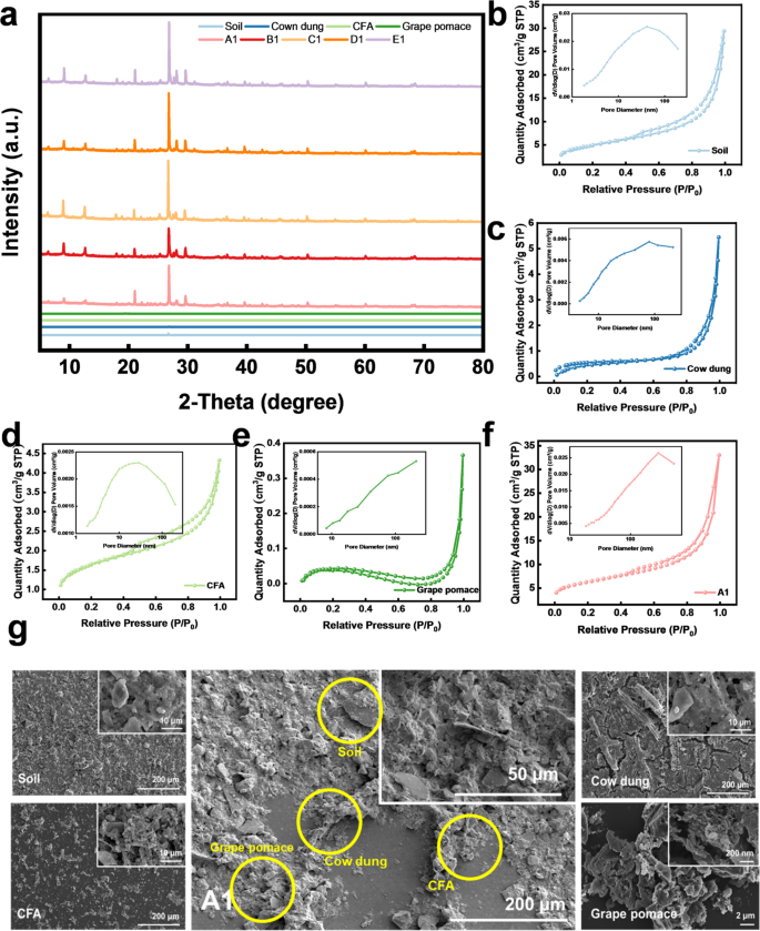 Mechanisms of functional reconstruction in saline-alkali soil and plant ...
