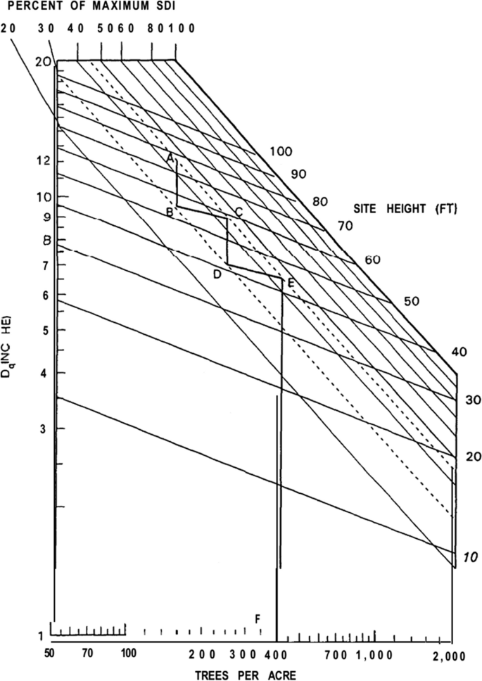 A New Method to Simulate Detailed Production With Diameter-Class Models ...