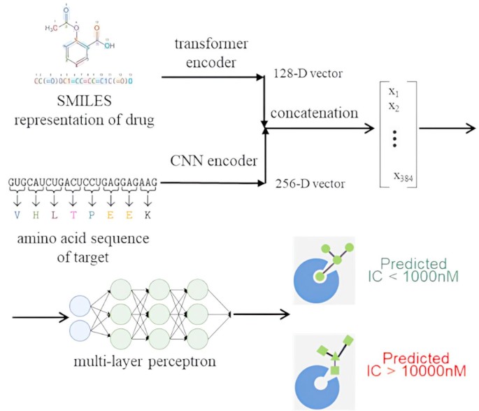 A deep learning-based model for drug-target affinity prediction with ...