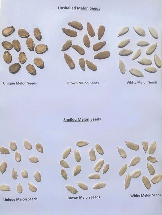 Chemical and physical characterization of 'egusi' melon seeds and ...