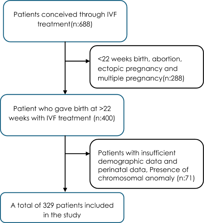 Placental Mapping in Pregnancies Following Fresh and Frozen Embryo ...