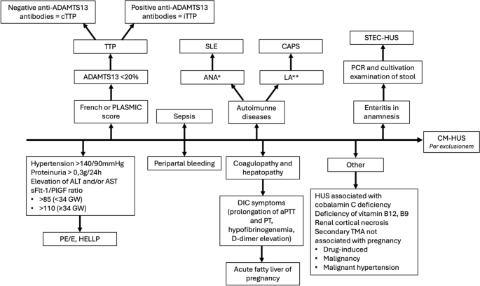 Overview of Pregnancy-Associated Thrombotic Microangiopathies – A ...