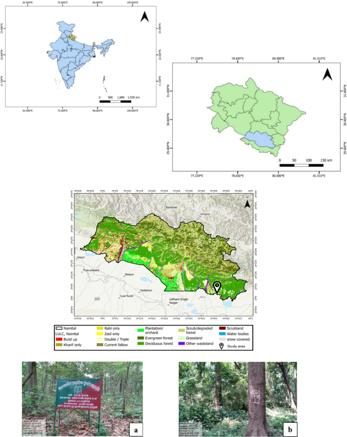 Species composition, vegetation structure and diversity of Sal (Shorea ...