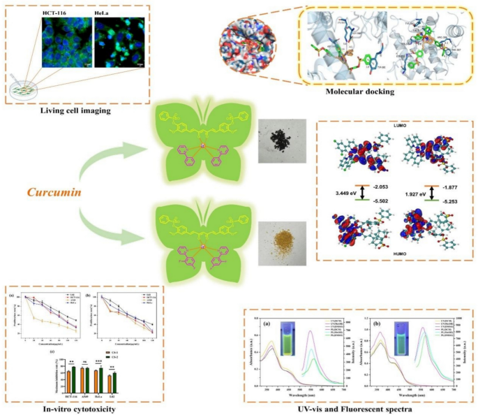 Synthesis, cell imaging, biological evaluation and molecular docking ...