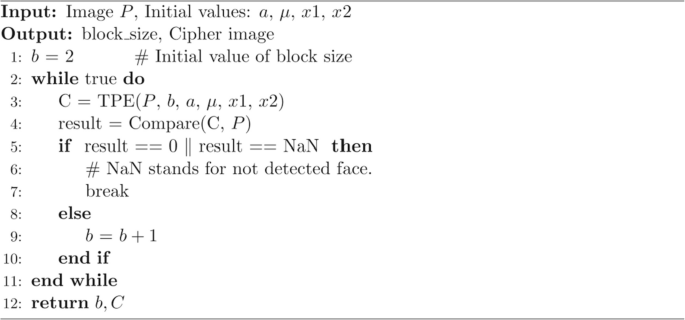 A chaotic thumbnail-preserving encryption scheme with optimal block ...