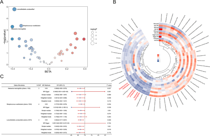 Exploring the plausible genetic relationship of salivary and tongue ...