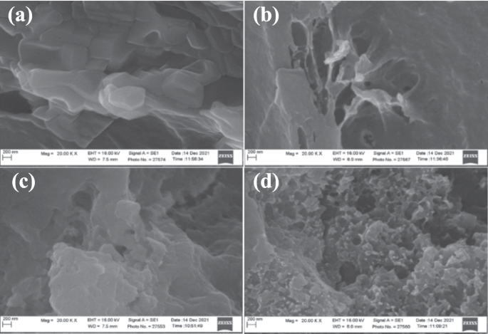 Ultrasound and enzymatic treatments improve protein content and ...