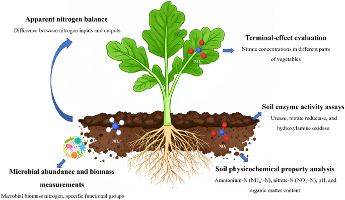 Isotopic approaches to assess nitrate accumulation in conventional and ...