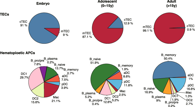 HLA haploidentical HSCT: from immune imbalance to a platform for immune ...