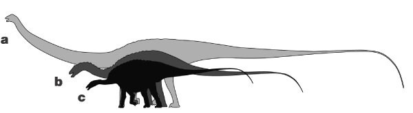 Discovery of a short-necked sauropod dinosaur from the Late Jurassic ...