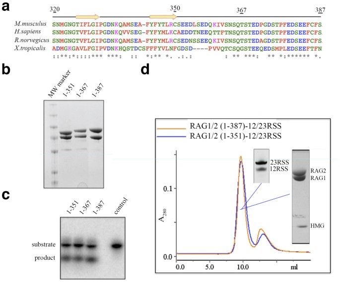 Crystal structure of the V(D)J recombinase RAG1–RAG2 | Nature
